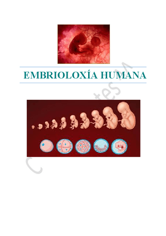 Embriologia-Apuntes-Completo.pdf