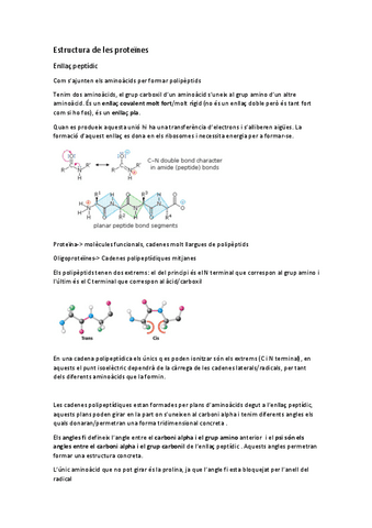 Tema-2-Estructura-de-les-proteines.pdf