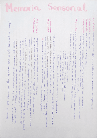 ESQUEMA MEMORIA SENSORIAL Y DE TRABAJO.pdf