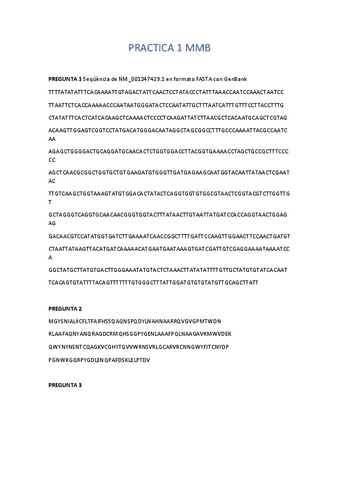 PRACTICA-1-INFO-MMB.pdf