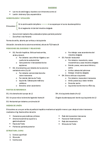 Resumen-esquema-t.pdf