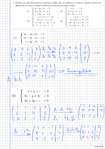 EJ-T2-Sistemas-de-ecuaciones-lineales-ROZ.pdf