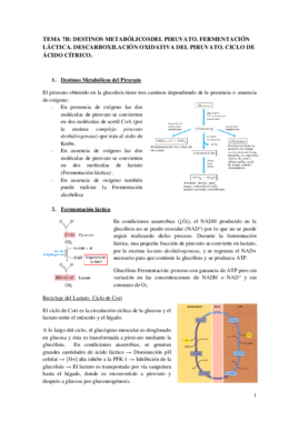 TEMA 7B.pdf