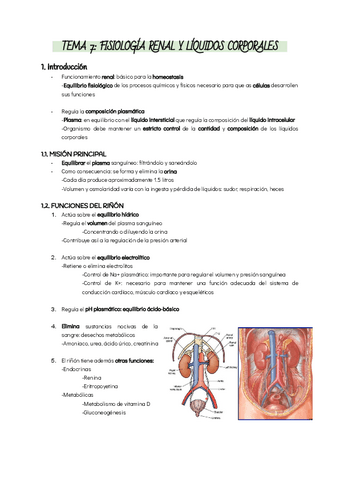 Tema 7 Fisiologia Renal Y Liquidos Corporales Pdf