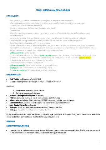 TEMA-1R-BASES-FUNDAMENTALES-DEL-DLM.pdf