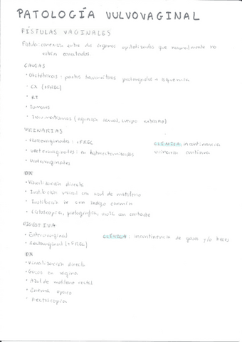 Patologia-vulvovaginal.pdf