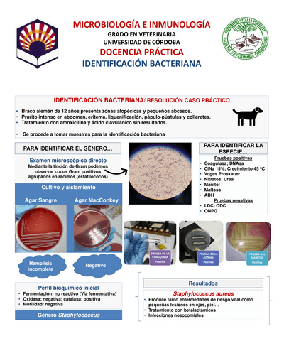 Poster-resolucion-caso-practicas.pdf