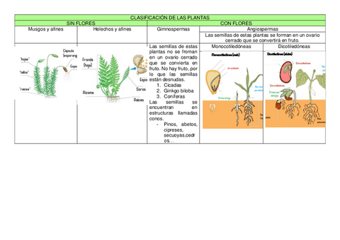 Esquema-resumen-II.pdf