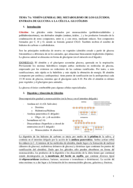TEMA 7A.pdf