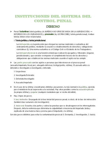 Parte Procesal. Instituciones del sistema de control penal.pdf