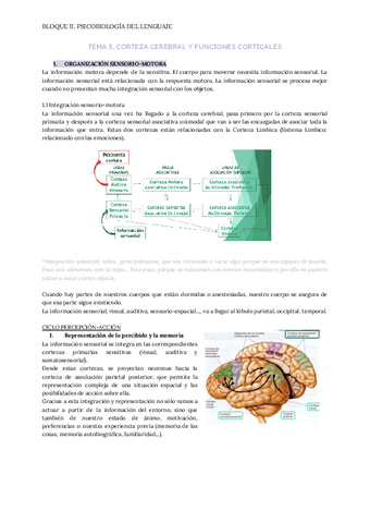 TEMA-5.-CORTEZA-CEREBRAL-Y-FUNCIONES-CORTICALES.pdf