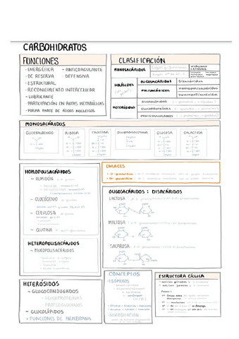Esquema-GLUCIDOS.pdf