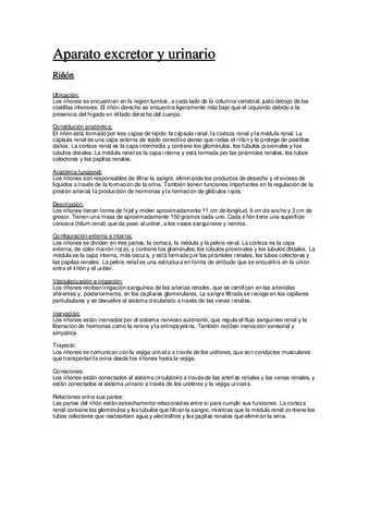 Sistema-excretor-y-urinario-1.pdf