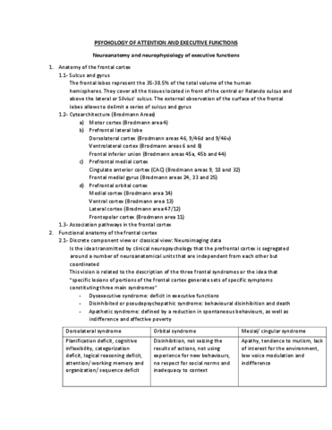 Neuroanatomy-and-neurophysiology-of-executive-functions.pdf