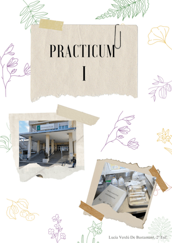 Portafolio-Practicum-I-2o-Enf..pdf