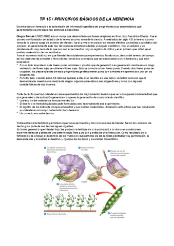 TP15-RESUMEN.pdf