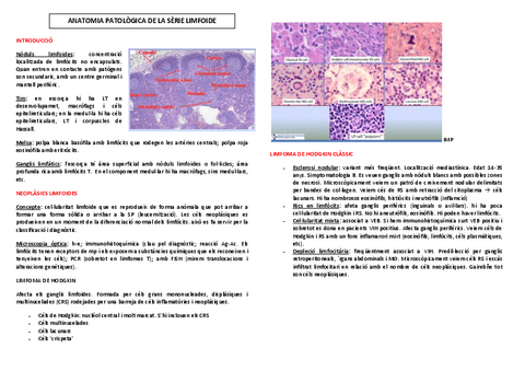 21.-ANATOMIA-PATOLOGICA-DE-LA-SERIE-LIMFOIDE.pdf