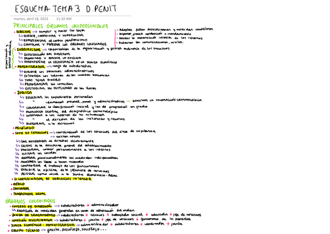 ESQUEMA-T3.pdf