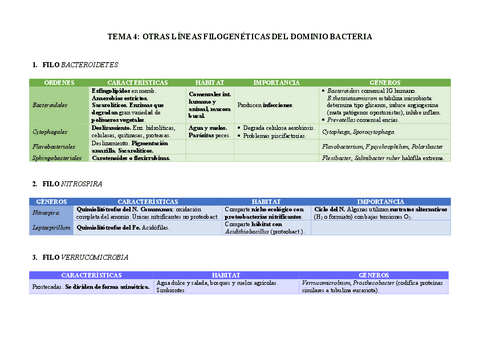 Resumen-y-tablas-micro-II-tema-4.pdf