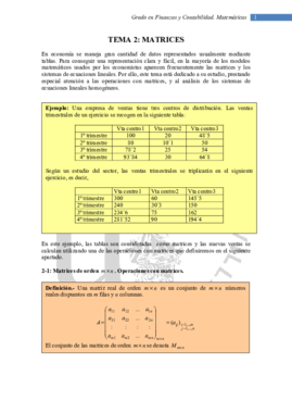 TEMA 20. MATRICES.pdf