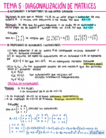 Tema-5-Diagonalizacion-De-Matrices.pdf