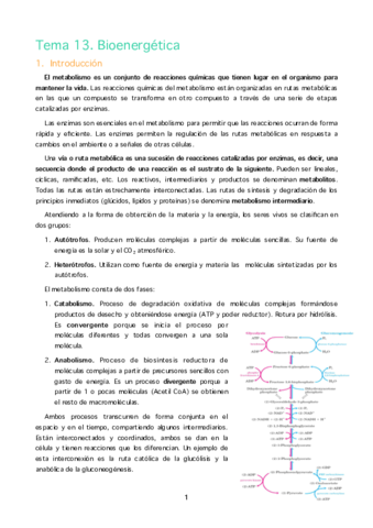 MBQ. T13. Bioenergética.pdf