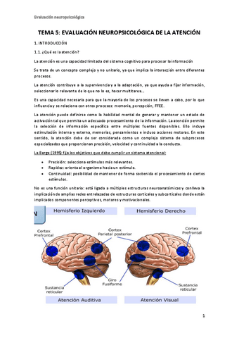 TEMA-5-EV.NEURO.pdf