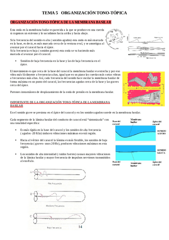TEMA-5-Modulo-II.pdf
