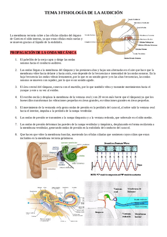 TEMA-3-MODULO-II.pdf