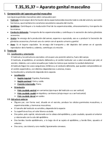 T.35-36,37 - Aparato genital masculino.pdf