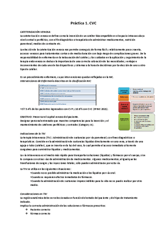 Practica-1.-CVC.pdf