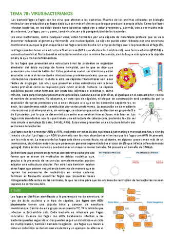 TEMA-7B.pdf