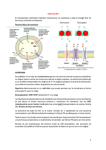 TEMA-11-BTB.pdf