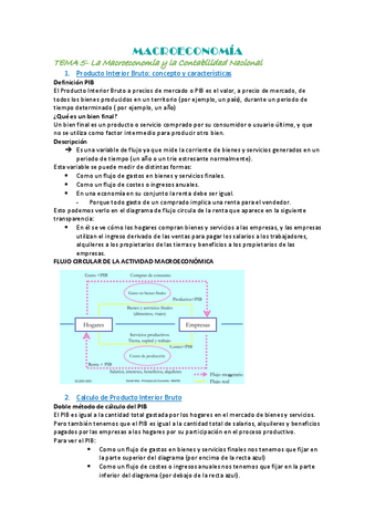MACRO-TEMA-1.pdf