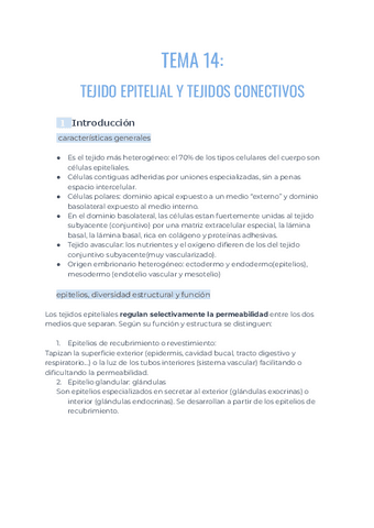 TEMA-14-castellano.pdf