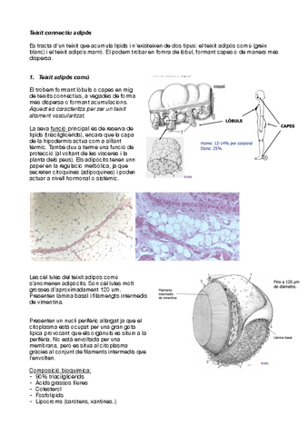 Teixit-connectiu-adipos.pdf
