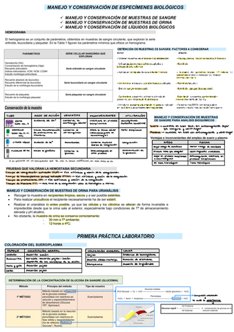 Resumen-Practicas-Todo.pdf