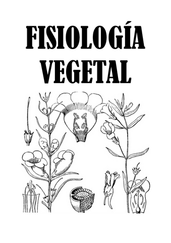 FISIOLOGIA-VEGETAL.pdf