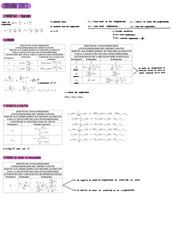 TDM-FORMULARIO-TEMA-5.pdf