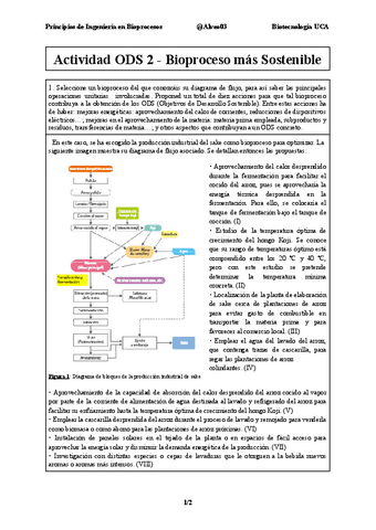 Actividad-ODS2-Bioproceso-Sostenible.pdf