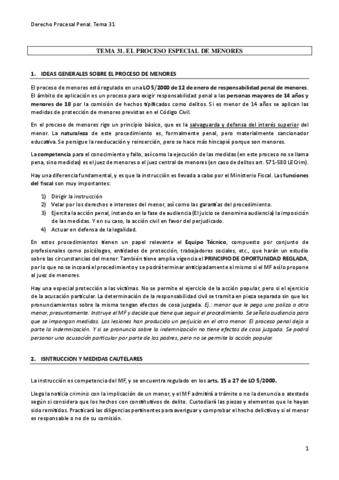 TEMA-31.pdf