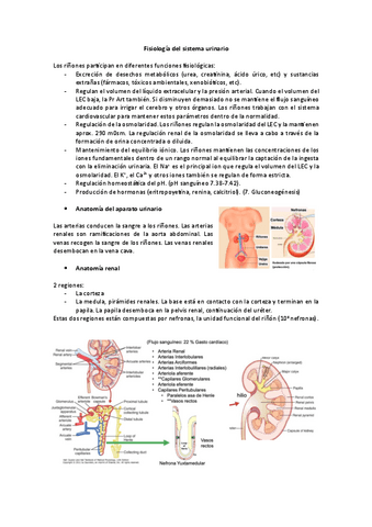Fisiologia-del-sistema-urinario.pdf