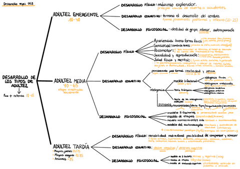 Psico-Desarrollo-esquema-UC3.pdf