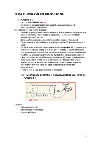 TEMA-11-FV.pdf