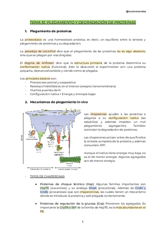 Tema-10.-Plegamiento-y-degradacion-de-proteinas.pdf