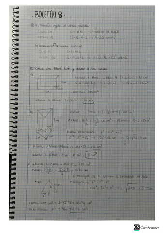 boletin-8-tema-8-ejercicios.pdf