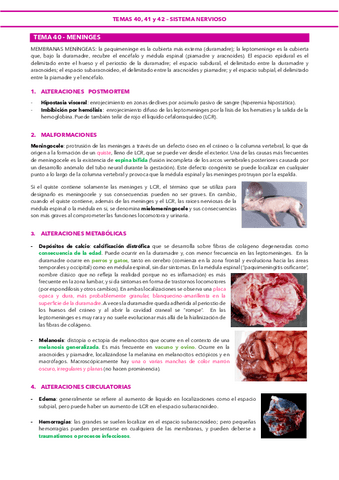 Teoría + fotos temas 40, 41 y 42 - SISTEMA NERVIOSO.pdf