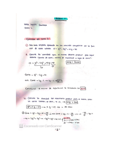 BLOQUEII-ejercicios-micro.pdf