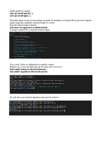 Configuración de sitios web en apace, nginx e IIS.pdf