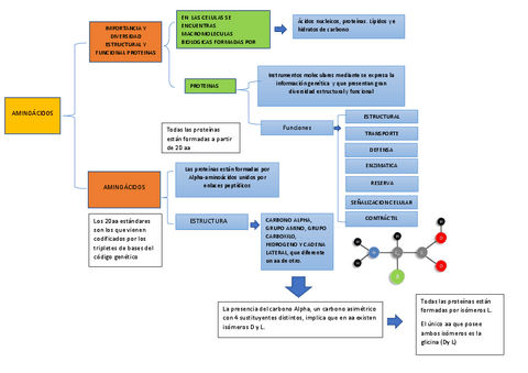 ESQUEMA-TEMA-14-BIOQUIMICA-2aBLOQUE.pdf
